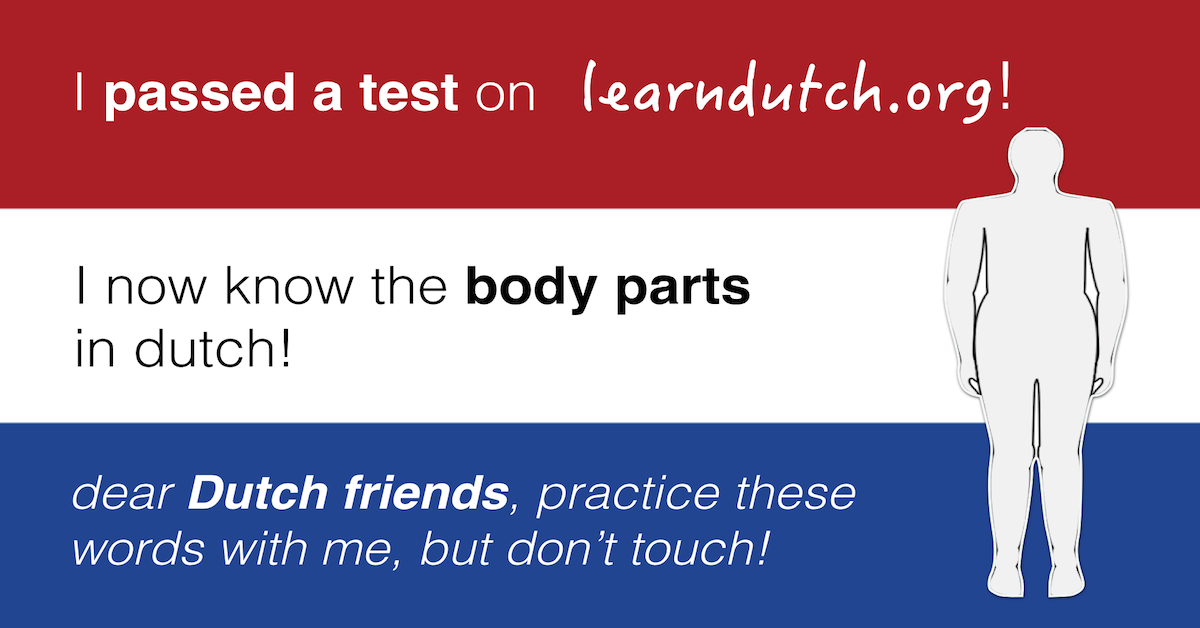 Dutch vocabulary test 16 – Body parts - Learn Dutch Online