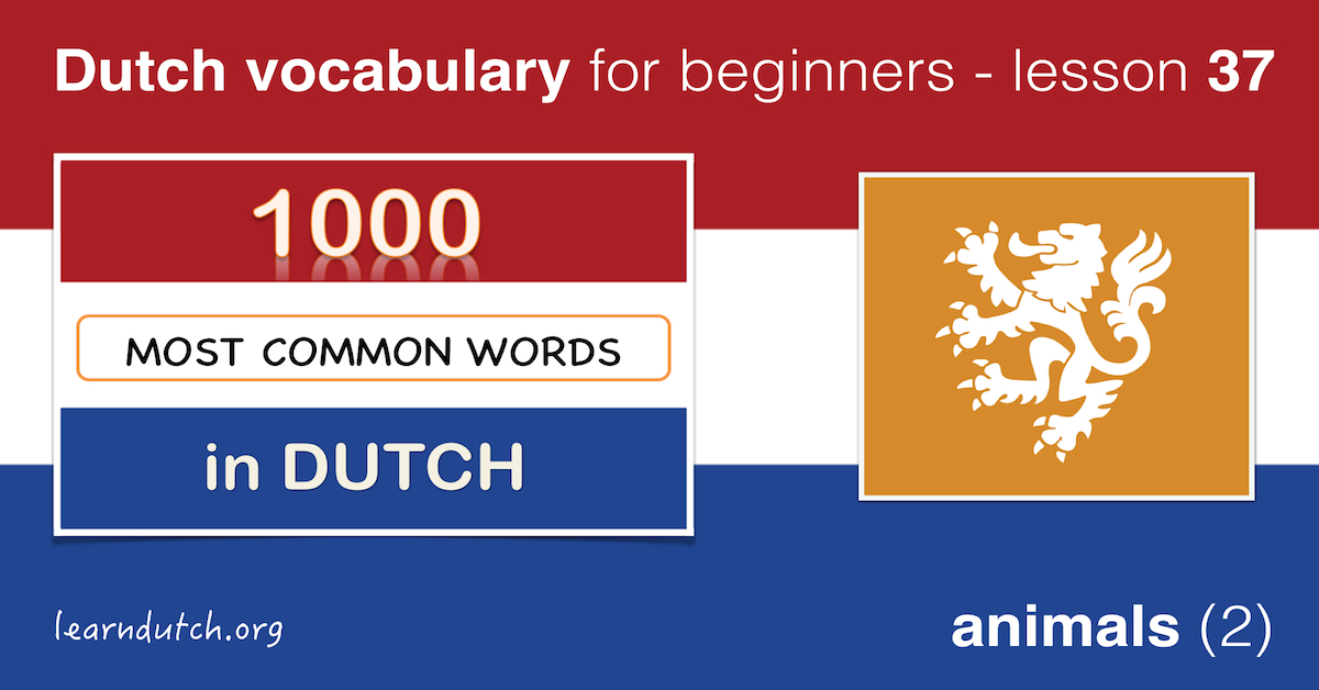 Dutch vocabulary - lesson 37: animals, zoo, pets in Dutch